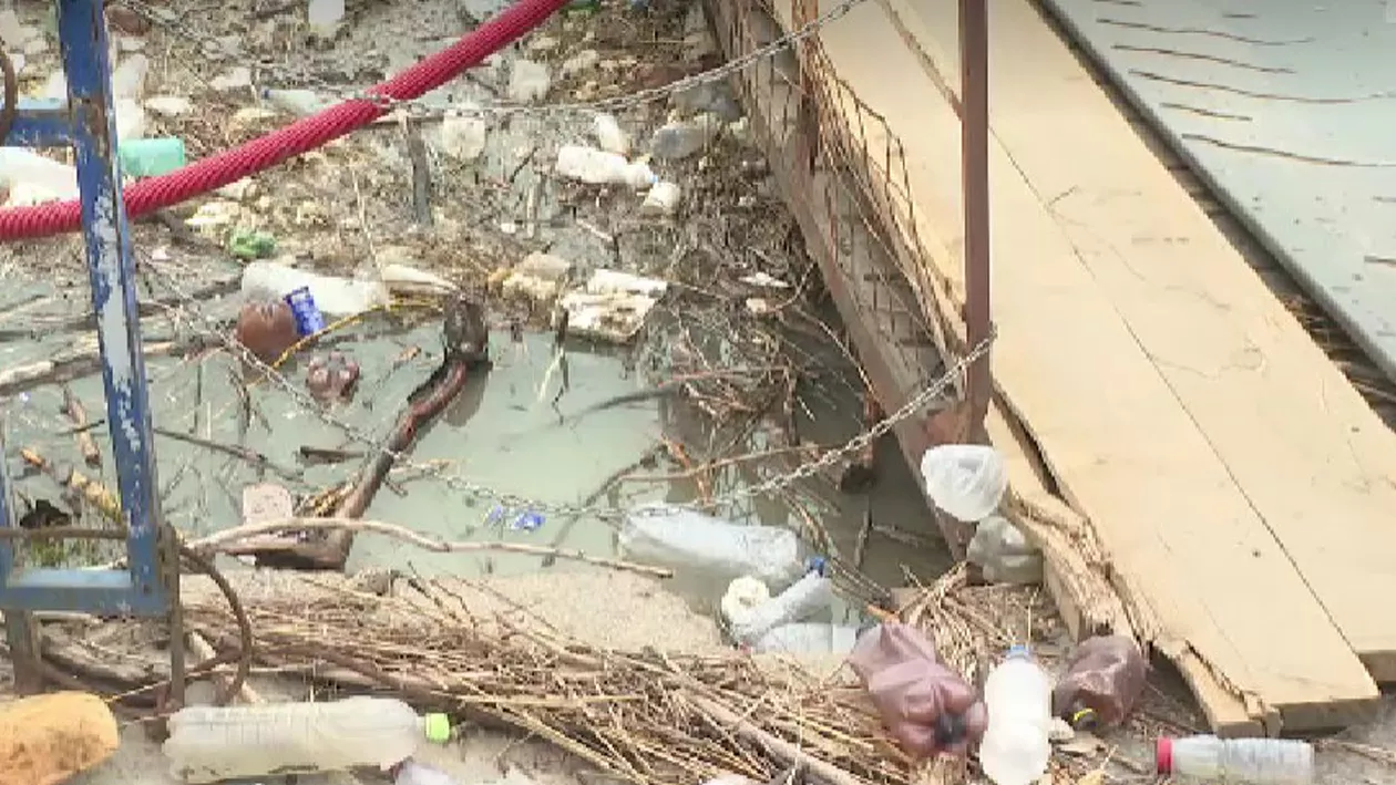 Dunărea, sufocată de gunoaie! Cea mai gravă situație este în punctul de ...