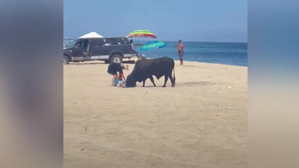 O turistă a fost atacată de taur pe o plajă din Mexic. Ce a făcut ...